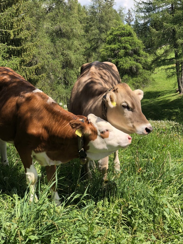 Miteinander, Nebeneinander oder Gegeneinander? – beziehungsVOLL